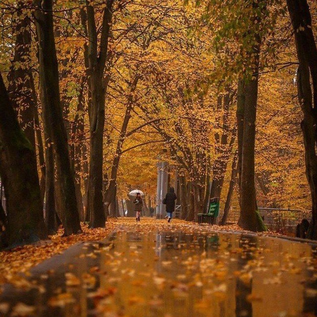 Telegram-канал "KUZ MANZARALARI💦🍁" — @kuz_manzarasi_qish_rasmlari — TGStat